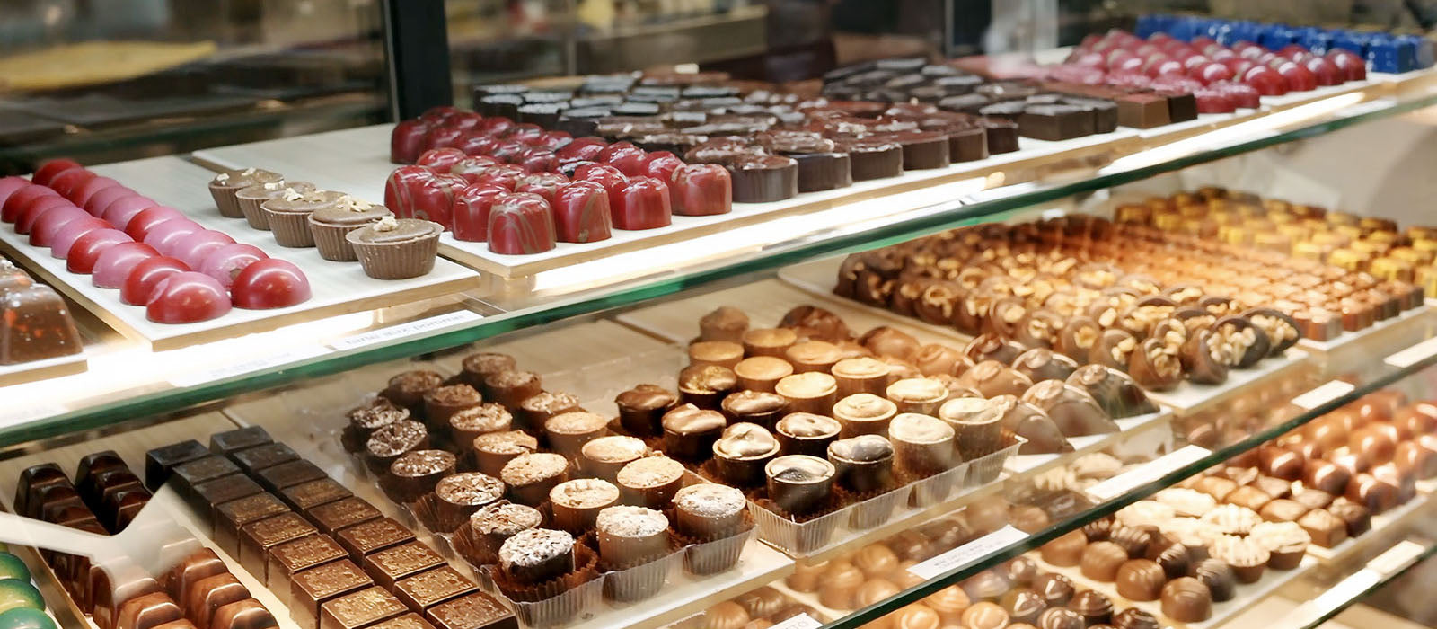 Chocolaterie - Choco Daisy